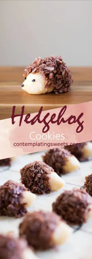 Hedgehog Cookies with Chocolate and Coconut | Contemplating Sweets